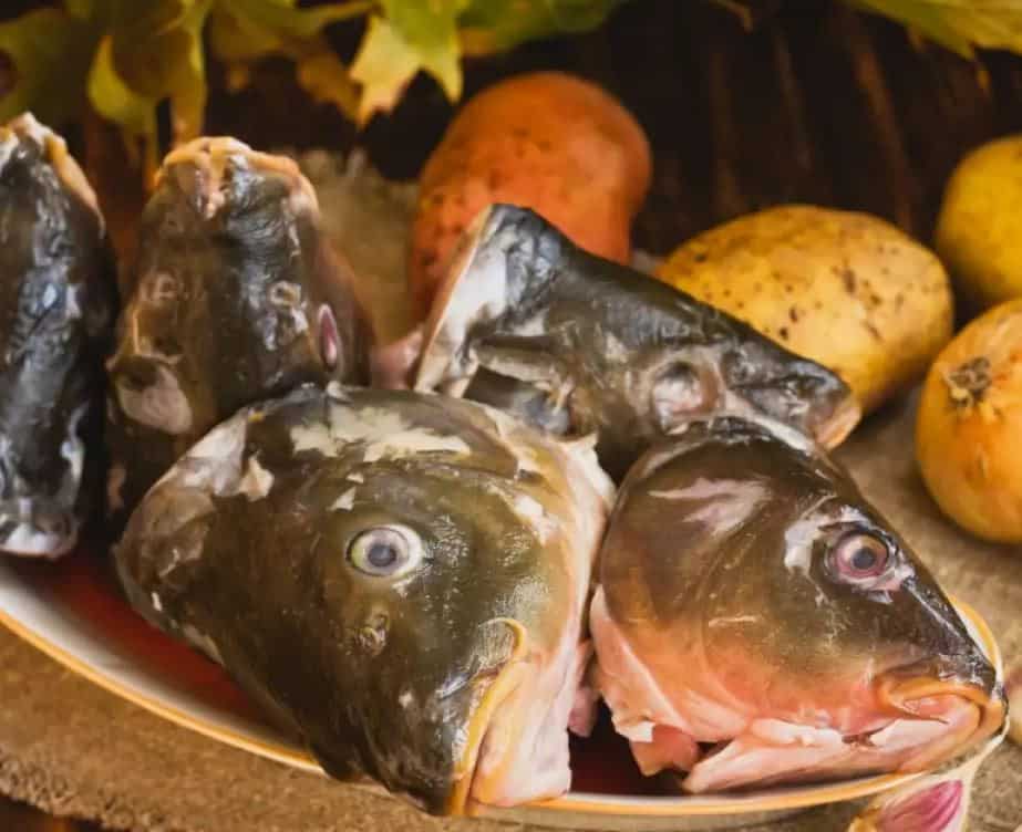 Глави от риба ᐉ Бързо и лесно онлайн - BulMag